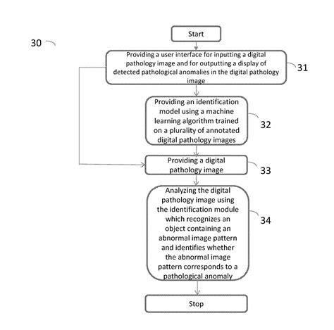 method and system for detecting pathological anomalies in a digital