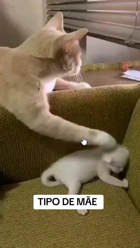Pin Em Animais