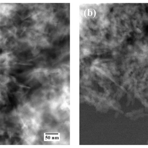 Scanning Transmission Electron Microscopy Data Of The Ha A Fe Ha3 Download Scientific