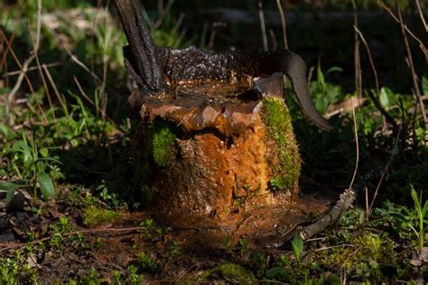 PA Boosts Plugging Abandoned Wells With Federal Money Spotlight PA