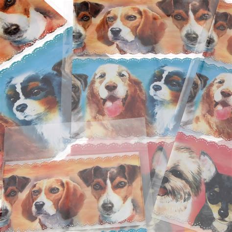 Grußkarten Hunde D Motive Jumbostanzer tlg QVC de