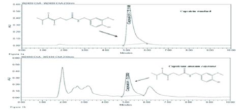 A Rp Hplc Chromatogram Of Capsaicin Standard B Rp Hplc Chromatogram