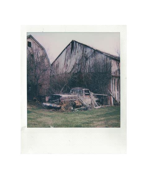 R Polaroid
