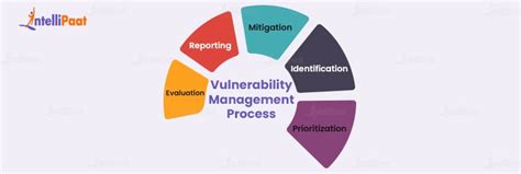 Vulnerability Management Meaning Tools And Process
