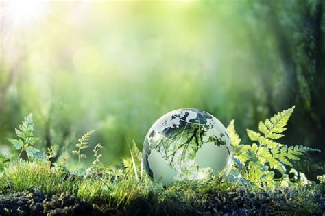 Environmental Laws Centuries To Form Seconds To Use Ipleaders