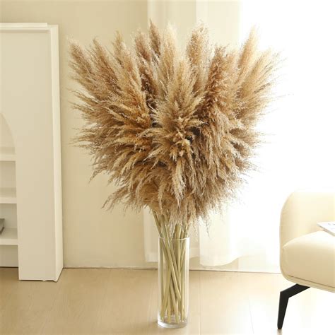 Wertuirk 12 Stems 46 Inch Tall Pampas Grass Decor
