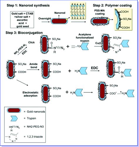 Scheme 7 Scheme Showing The Process Involved In The Click Reaction Of