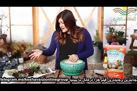 ساخت گلدان زیبا با ساکولنت های رنگی