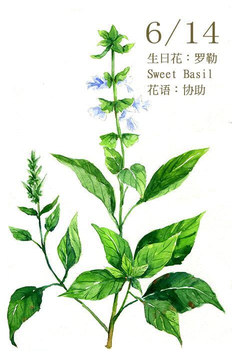 Haru Hello Blumen Malen Aquarell Blumen