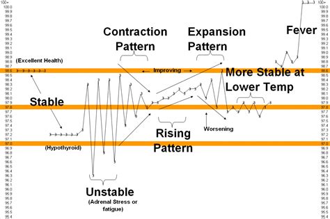 Metabolic Temperature Graph — Dr Rinds Center For Health And Healing