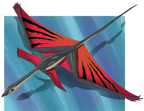 Sharovipteryx Jurassic Park Institute Wiki Fandom
