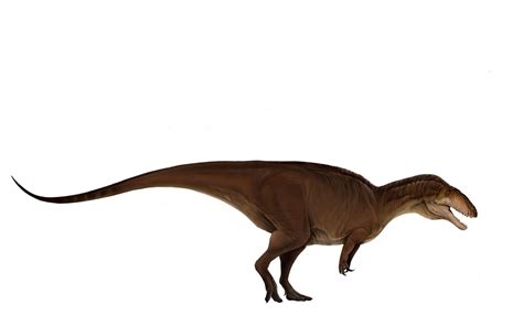 A 20 Foot Long ‘mega Raptor Once Stalked Australia Popular Science