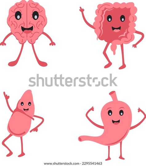 Human Organ Cartoon Character Set Brain Stock Vector Royalty Free Shutterstock