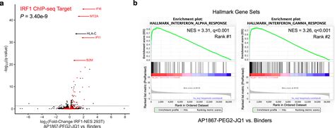 Bifunctional Small Molecules That Induce Nuclear Localization And Targeted Transcriptional