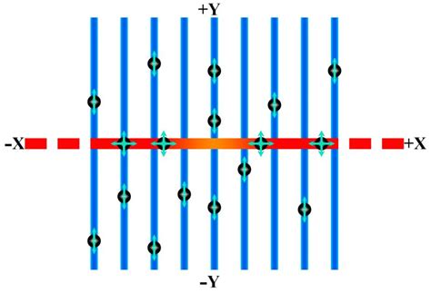 Fokker Diffusion Comb Stochastic Resetting Callforsubmission Quantum Reports Mdpi