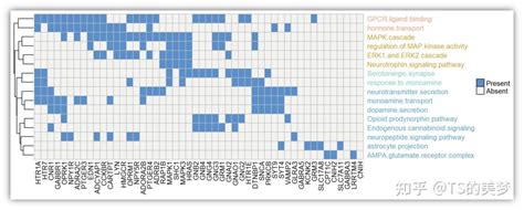 复现pnas图表 Complexheatmap的一些复杂设置画更好看热图 知乎