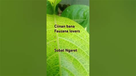 Faizanashortslovers Youtube