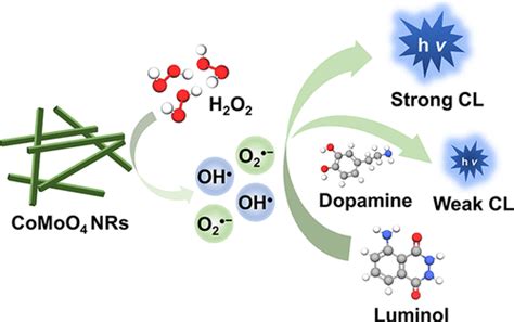 Bimetallic Comoo4 Nanozymes Enhanced Luminol Chemiluminescence For The Detection Of Dopamine