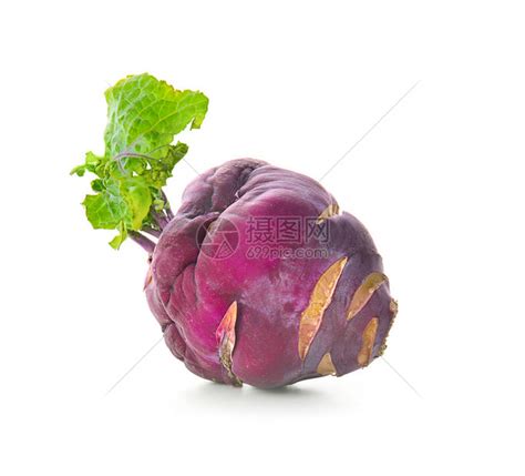 白色背景上的新鲜大头菜高清图片下载 正版图片505461885 摄图网