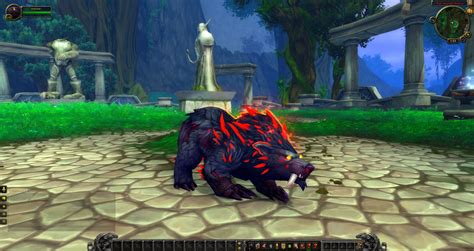 Legion Bären und Katzenformen im Überblick