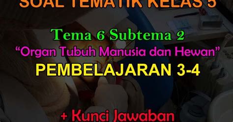 50 Soal Kelas 5 Tema 6 Subtema 2 Organ Tubuh Manusia Hewan Jawaban