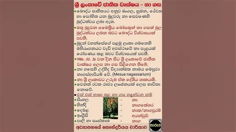 ශ්‍රී ලංකා ජාතික වෘක්ෂය 👍🥰නා ගස ඔබ නොදන්නා විස්තර මේ වීඩියෝ එක අවසන්