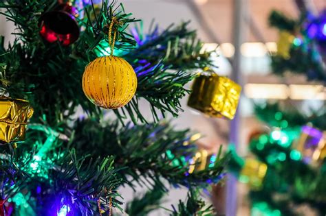 10000 Free 問答無用 強制子宮破壊 12 And Christmas Images Pixabay