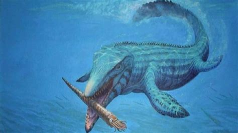 Facts About The Ancient Marine Reptile Mosasaurus The Terrible Sea Monster Archynewsy