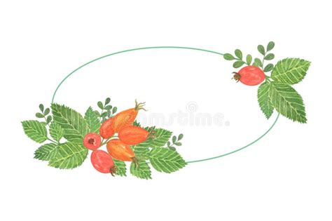Watercolor Flower Composition Of Red Rosehip Berries With Green Leaves