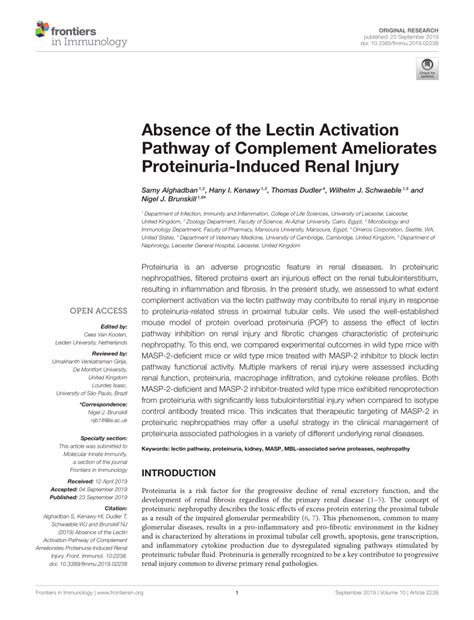 Pdf Absence Of The Lectin Activation Pathway Of Complement Ameliorates Proteinuria Induced