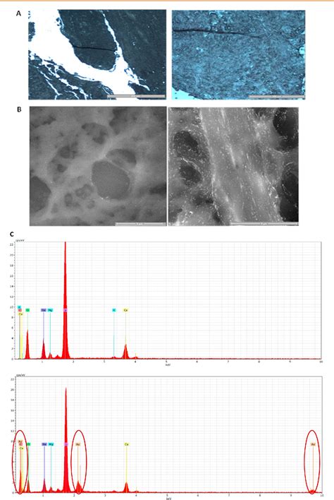 Figure 1 From Gold Nanorods Based Air Scanning Electron Microscopy And Diffusion Reflection