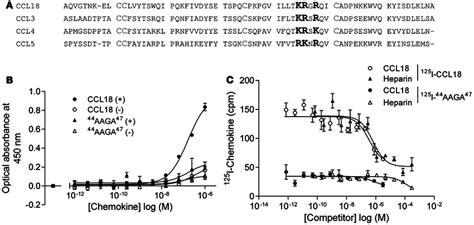Identification Of The Bbxb Gag Binding Motif In The 40s Loop Of Ccl18
