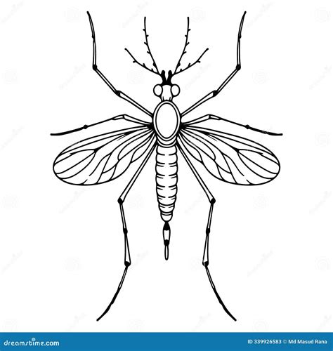 Walking Stick Bug Simple Outline Vector Illustration Line Art Stock Illustration Illustration