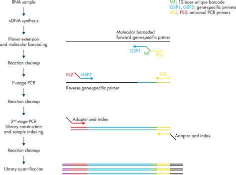 Qiaseq Targeted Rna Panels