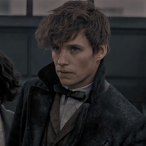 ɴᴇᴡᴛᴏɴ Sᴄᴀᴍᴀɴᴅᴇʀ ɪᴄᴏɴ в 2025 г Фантастические твари Гарри поттер