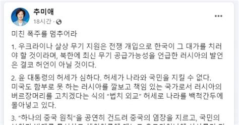 추미애 尹대통령에 미친 폭주 멈춰라법치외교 허세로 나라를 백척간두에