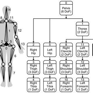 Decomposition Of Synchronous Particle Swarm Optimization Algorithm On