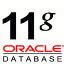 Descargar Oracle Database 11g Release 2 Windows - Tu Informática Fácil