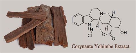 China Yohimbe Bark Extract Powder Manufacturers Suppliers Factory