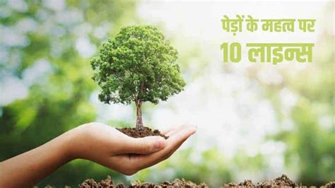 पेड़ों के महत्व पर वाक्य 10 Lines On Importance Of Trees In Hindi • 1hindi