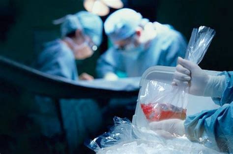 好文嚴選：死囚器官移植 要禁就禁徹底 風傳媒
