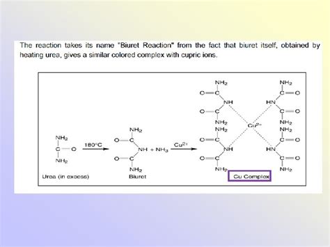 Protein Concentration Determination Quantitative Determination Of