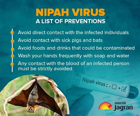 Nipah Virus Cases In Kerala Mount To Six Karnataka Tamil Nadu On