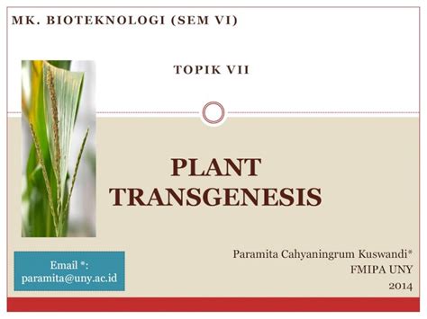 Pdf Ppt Bioteknologi Plant Transgenesis Dokumentips