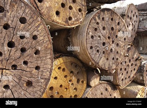 Mini Beast Man Made Habitat Shelter To Aid Conservation Of Insects Invertebrates Stock Photo Alamy