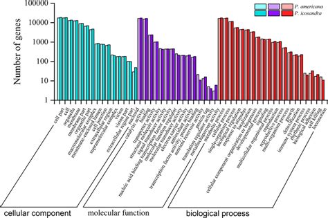 Classification Of The Transcripts Annotated By The Gene Ontology Go