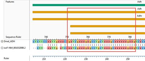 Part B Use A Local Pairwise Alignment Method User Guide To Megalign
