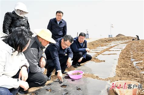 任振鹤在岷县宕昌县调研图 天水在线