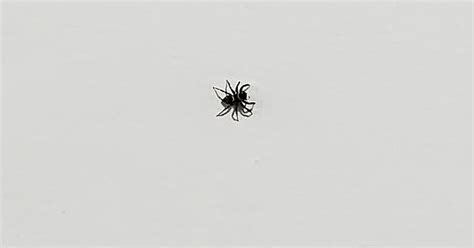 Imgur The Magic Of The Internet