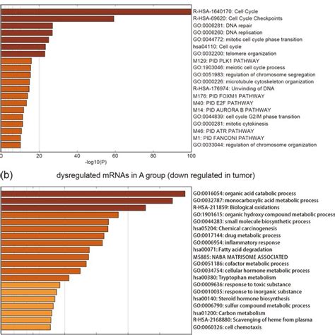Functional Enrichment Analysis David Annotation Enrichment Analysis By